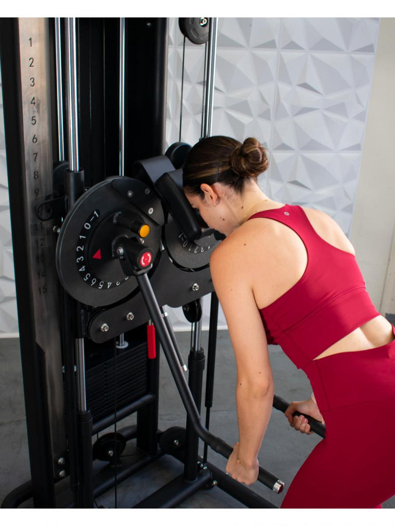 Flight Trainer Machine - | Weights & Bars