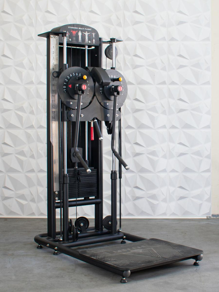 Flight Trainer Machine - | Weights & Bars